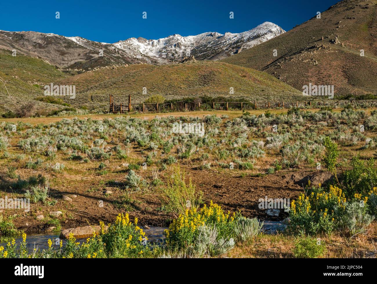 The old corral hi-res stock photography and images - Alamy