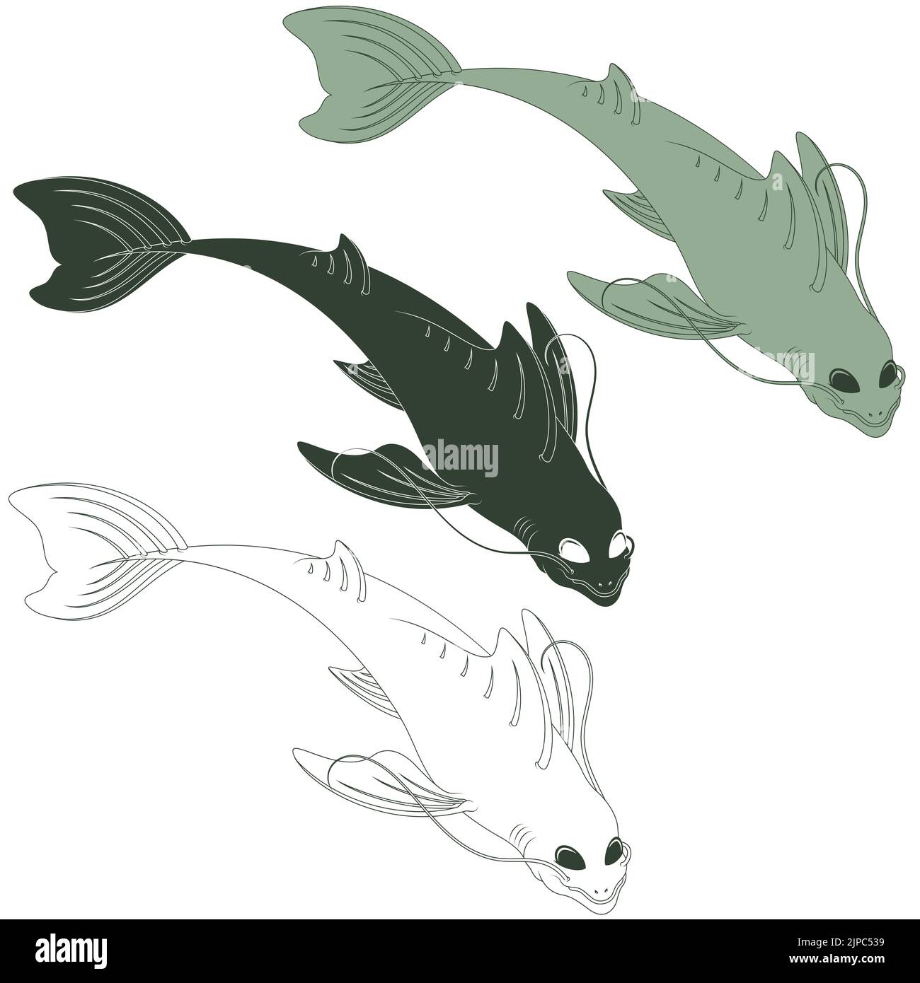 Mustache fish vector design, deep sea scale fish, sport fishing fish ...
