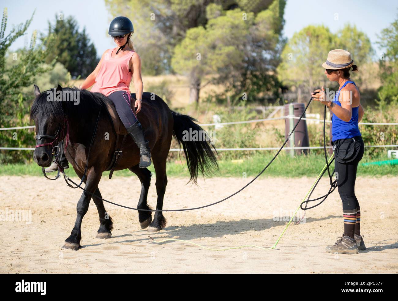 riding girl are training her black horse Stock Photo - Alamy