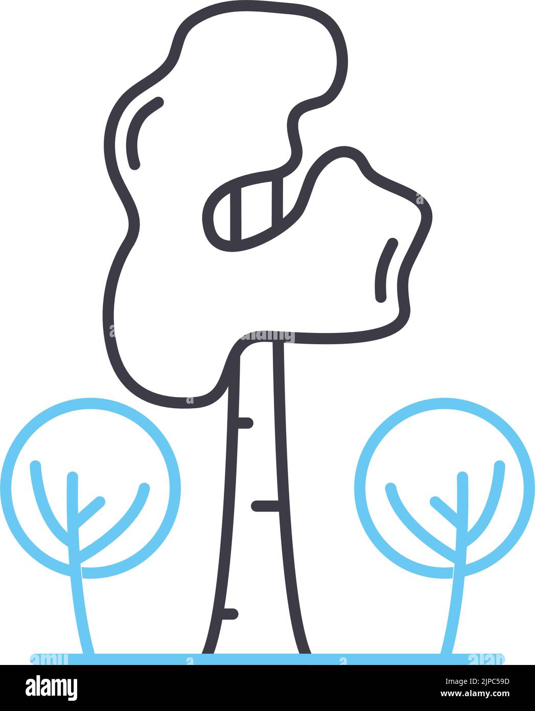 forest line icon, outline symbol, vector illustration, concept sign ...