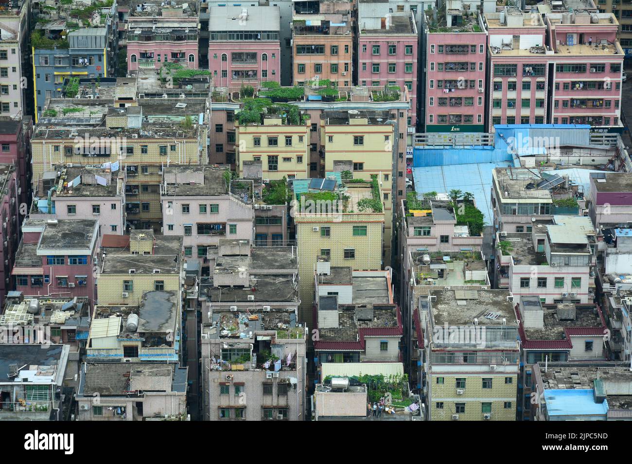 Chinese 'handshake' community. So called because your neighbours are so ...