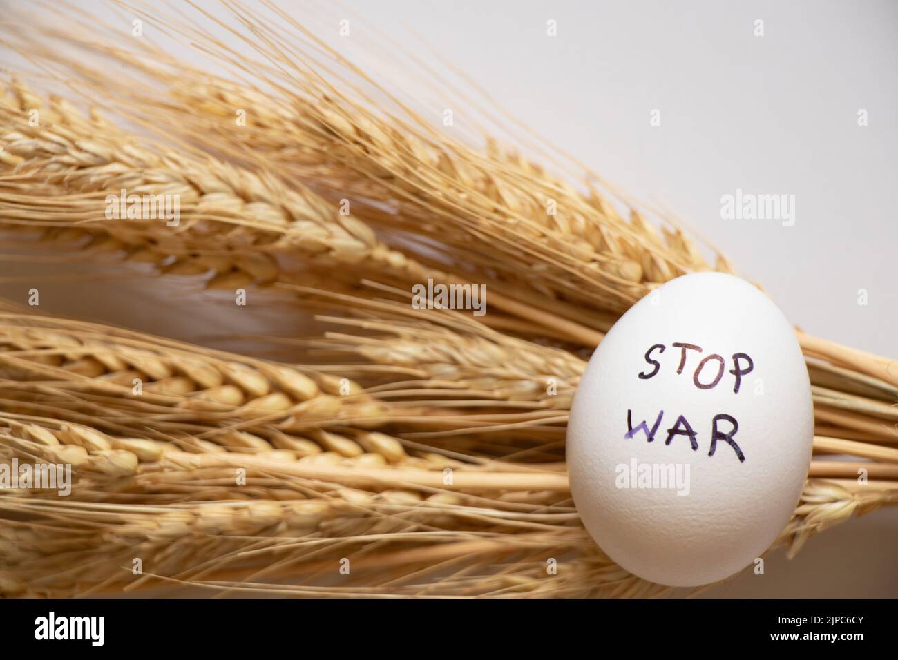 Stop war is written on a chicken egg that lies on wheat on a white ...