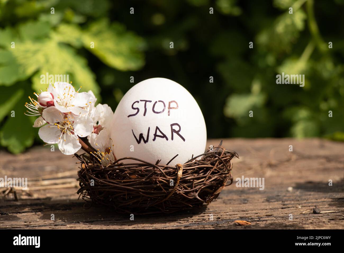 Stop war is written on a white chicken egg that lies in a straw basket ...