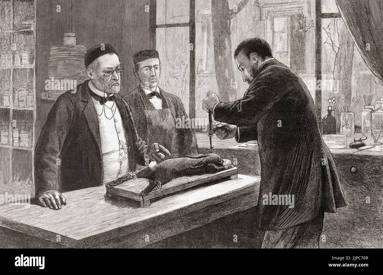 Louis pasteur archive hi-res stock photography and images - Alamy