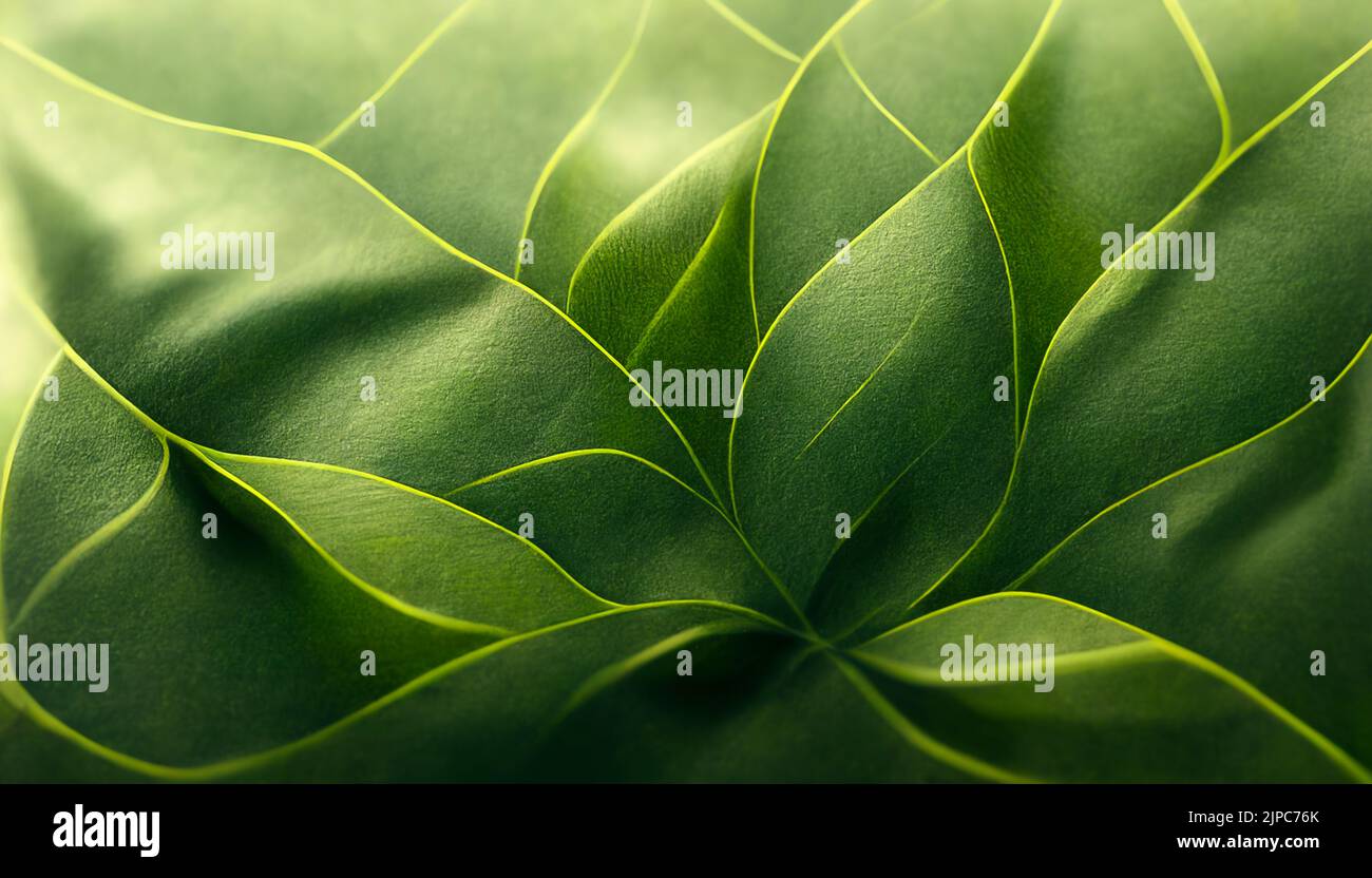 3D Render Abstract of Green Leaf Texture Background. Natural background ...