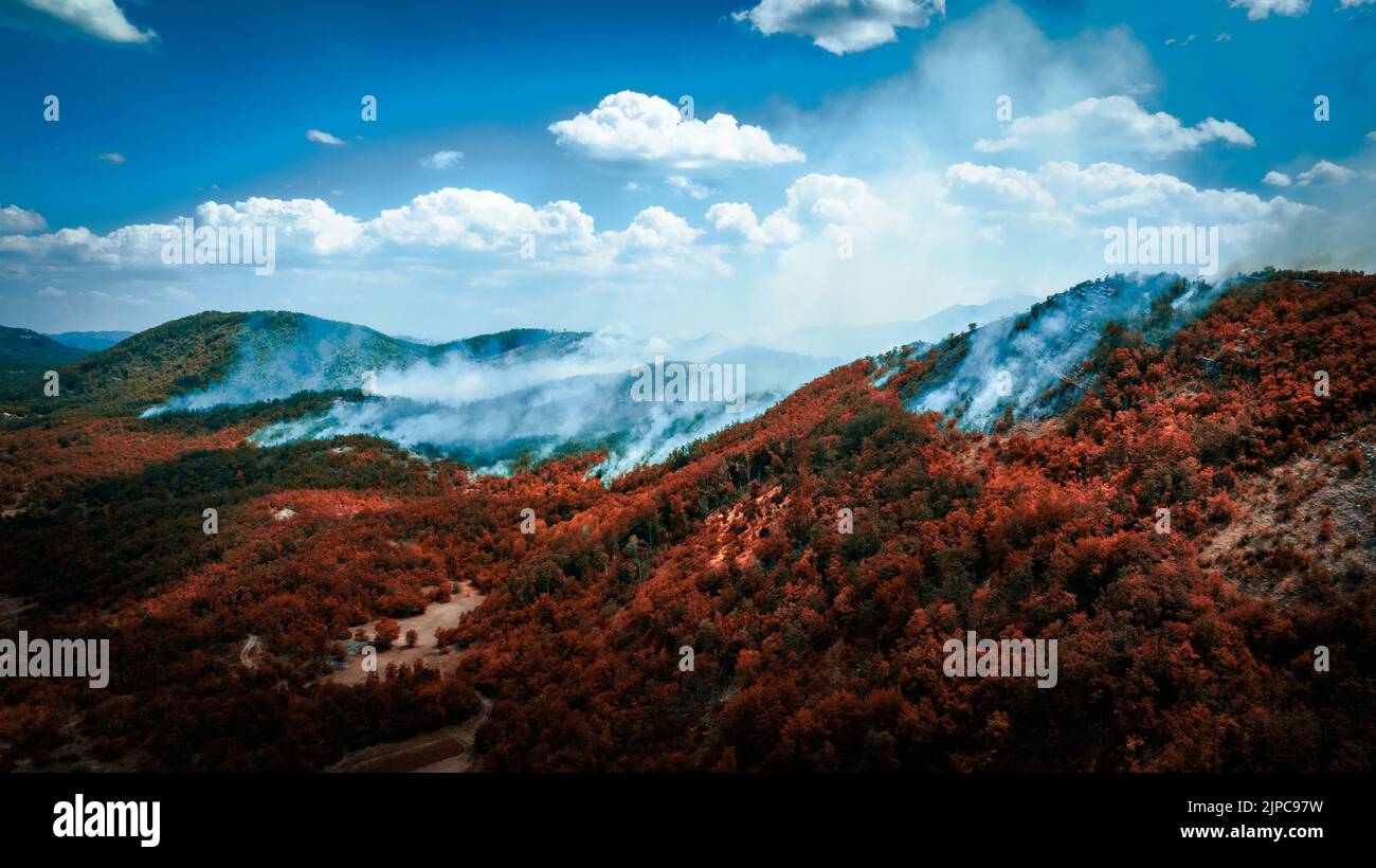 Aerial view of a Wildfire area, burning and smoking in the highlands ...