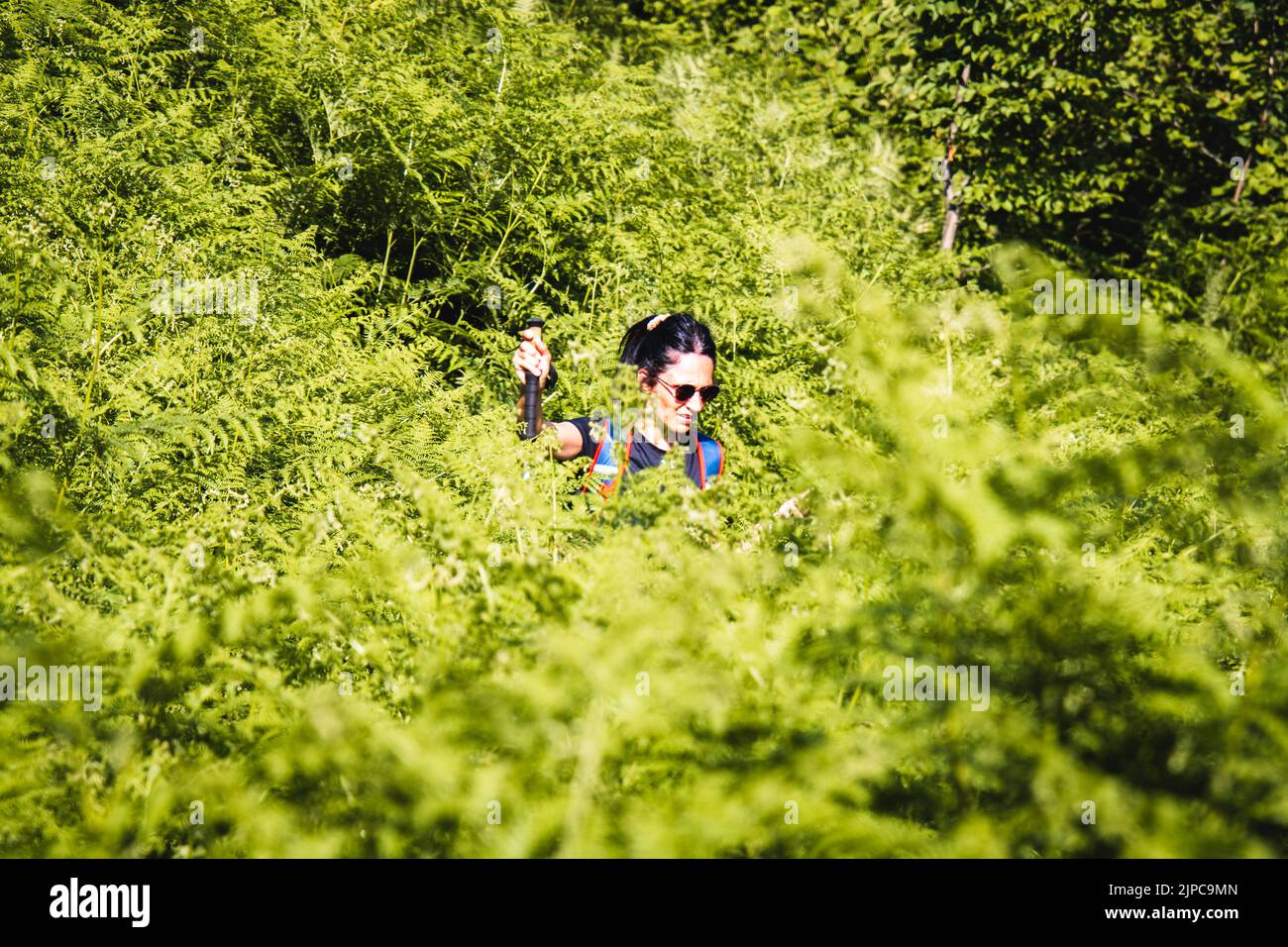 Young female hiker solo hike get lost in high grass after wrong turn in ...