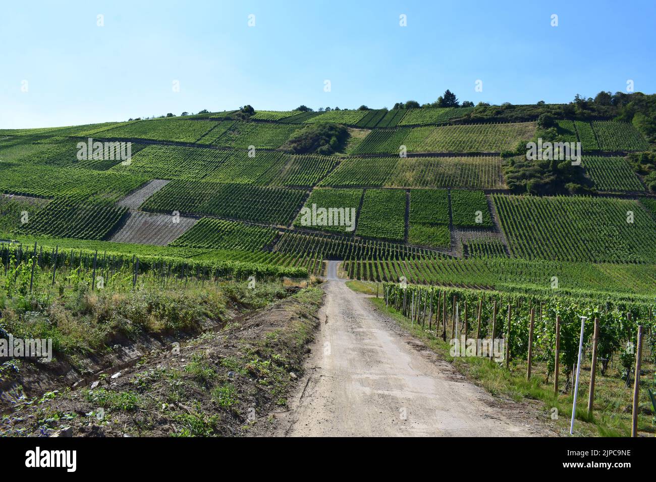 Ahr winery flood hi-res stock photography and images - Alamy