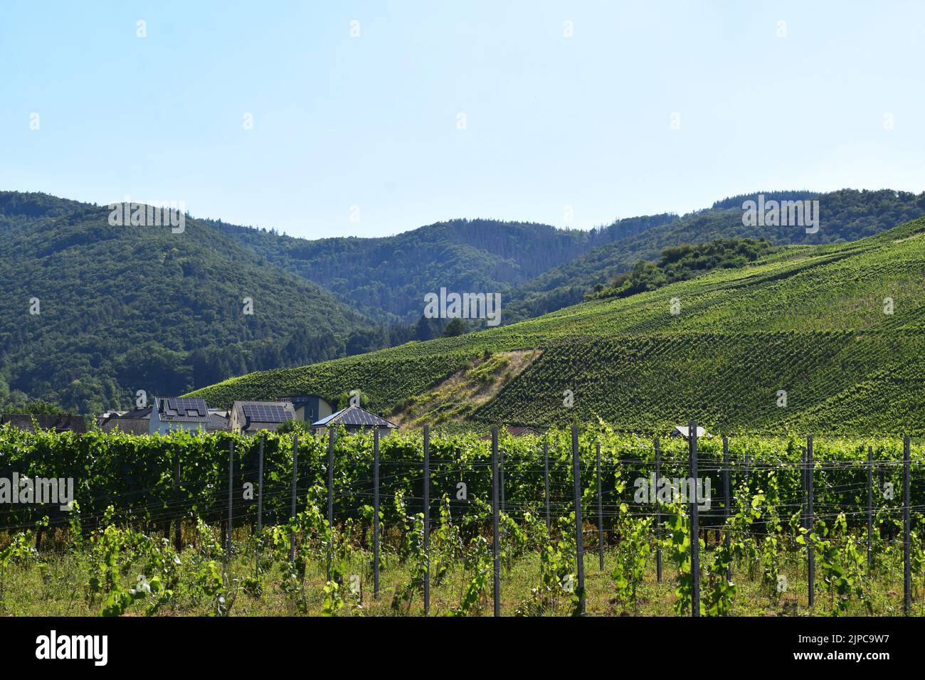 Ahr winery flood hi-res stock photography and images - Alamy