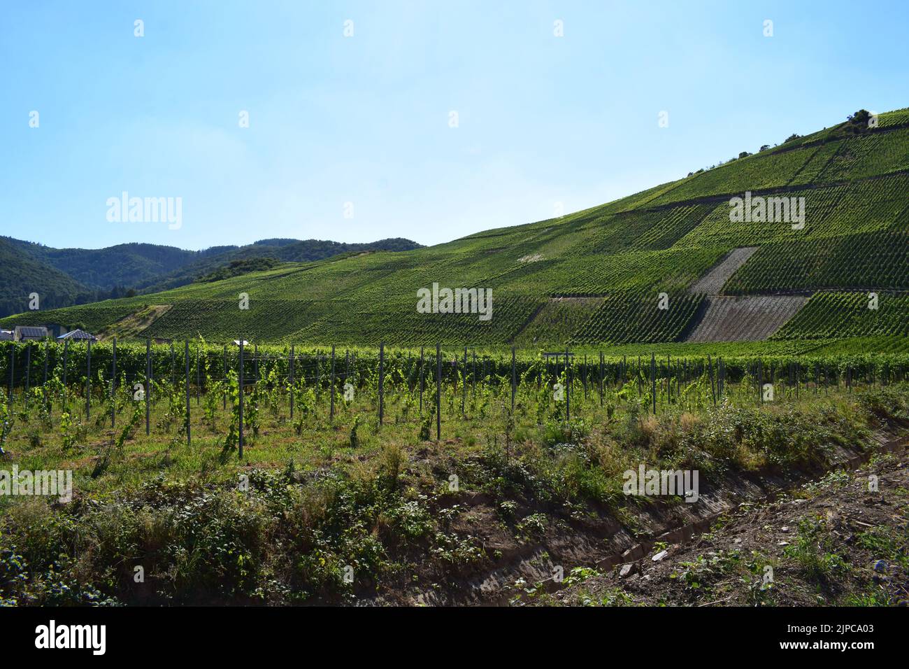 Ahr winery flood hi-res stock photography and images - Alamy