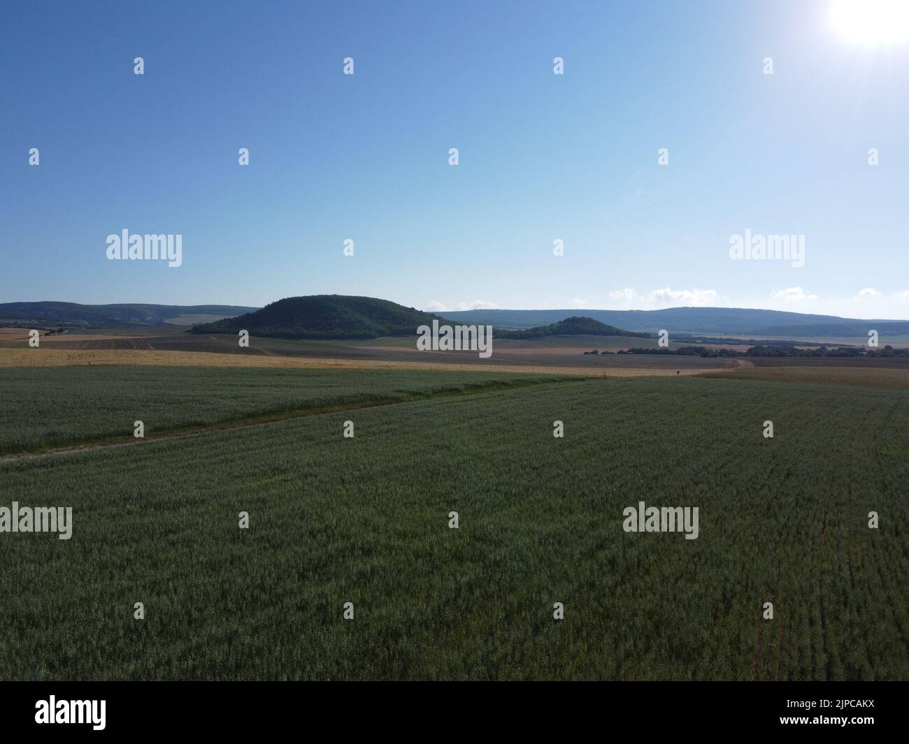Aerial view on Green wheat field in countryside. Field of wheat blowing ...