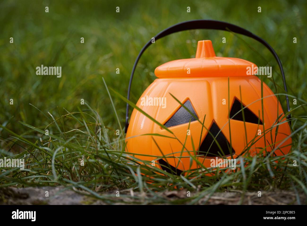 Halloween pumpkin hidden in the grass Stock Photo - Alamy