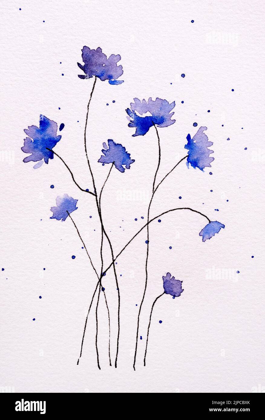 Watercolor Flower Paintings