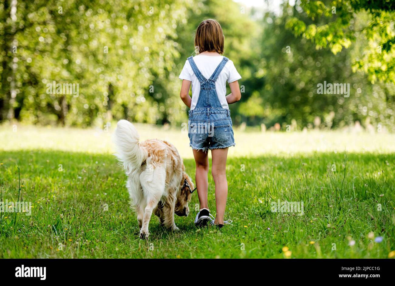Little girl walking dog on meadow Stock Photo - Alamy