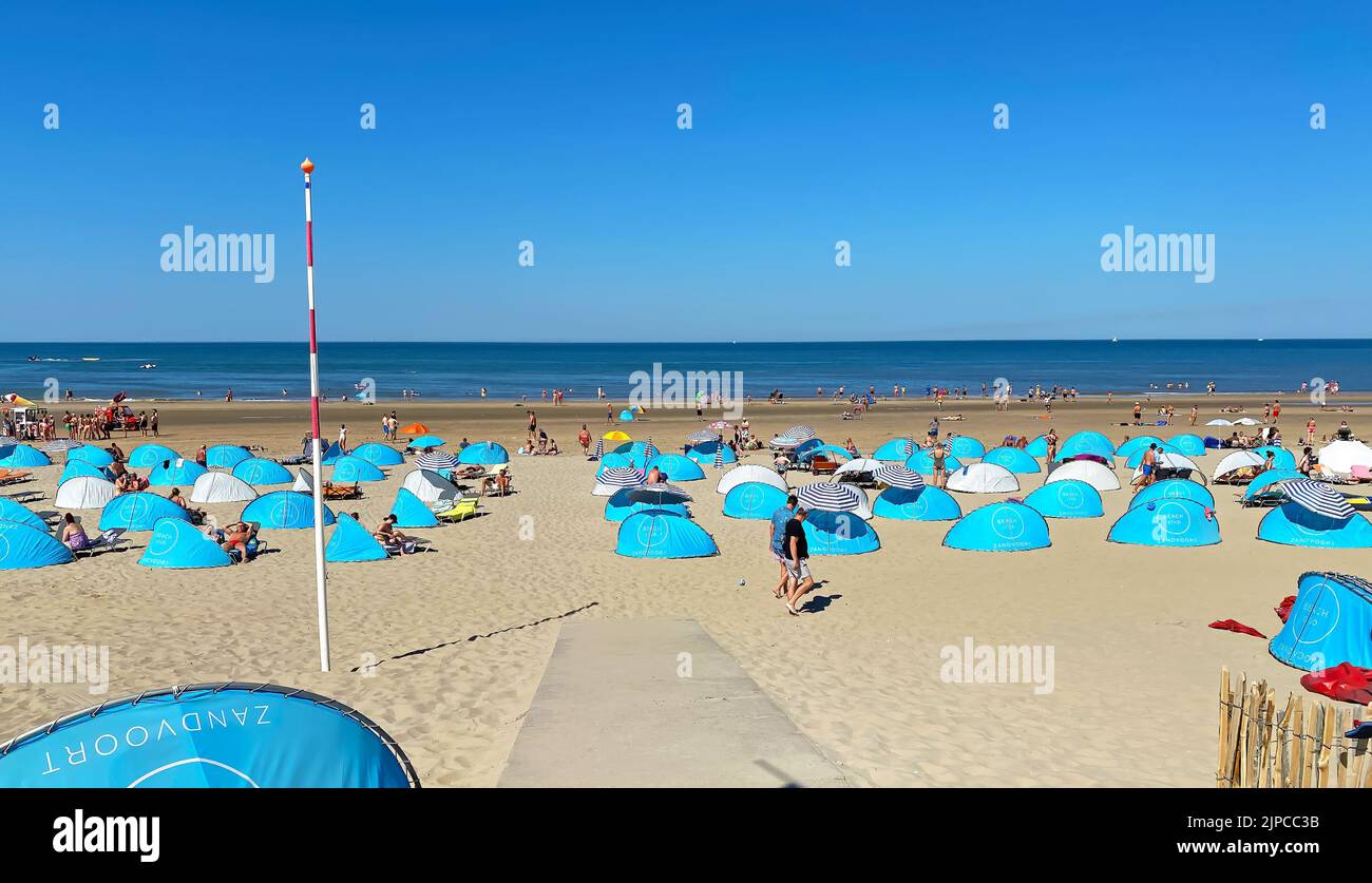 Zandvoort Netherlands August 12 2022 Beautiful Dutch North Sea