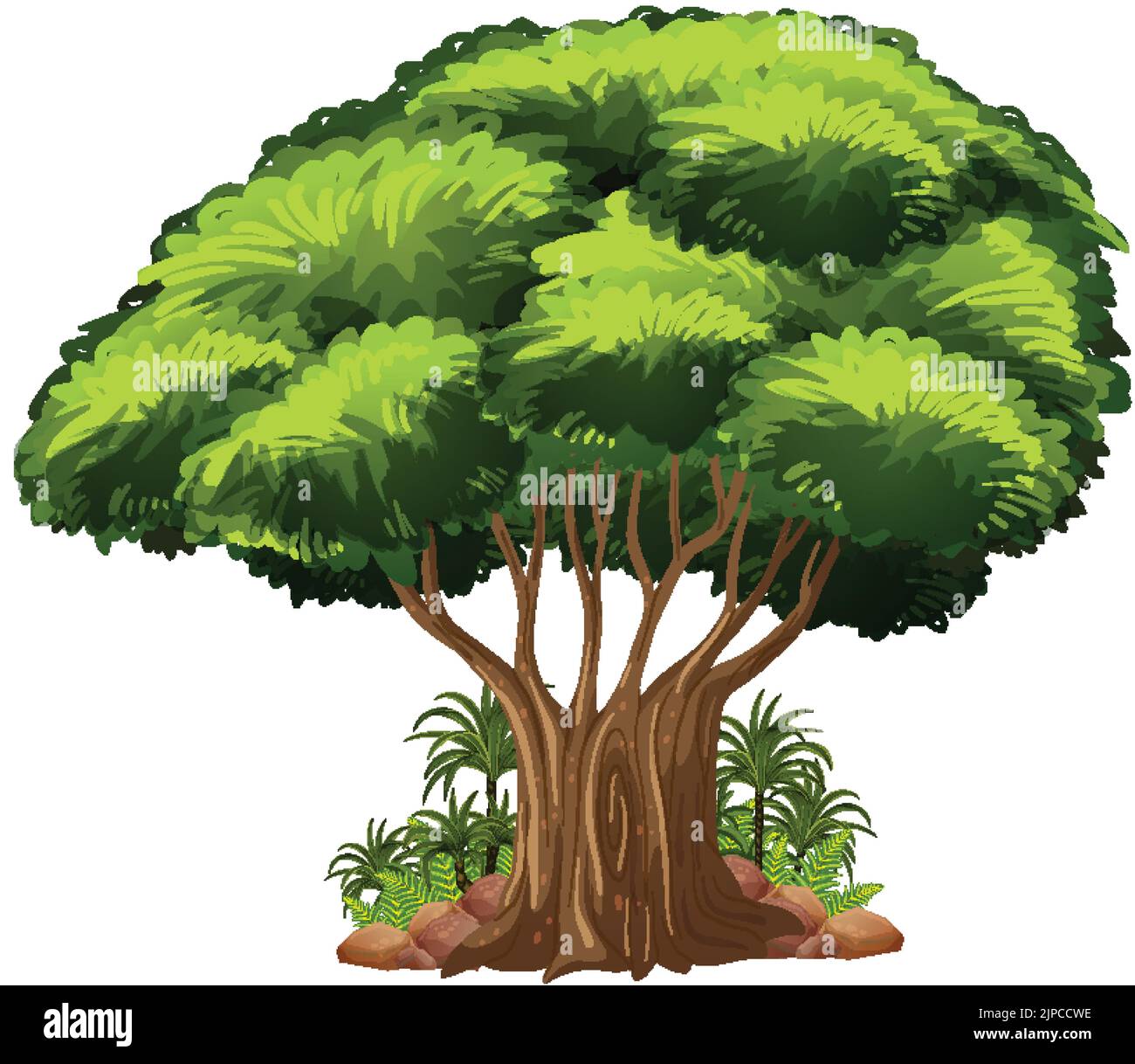 Big tree isolated cartoon illustration Stock Vector Image & Art - Alamy