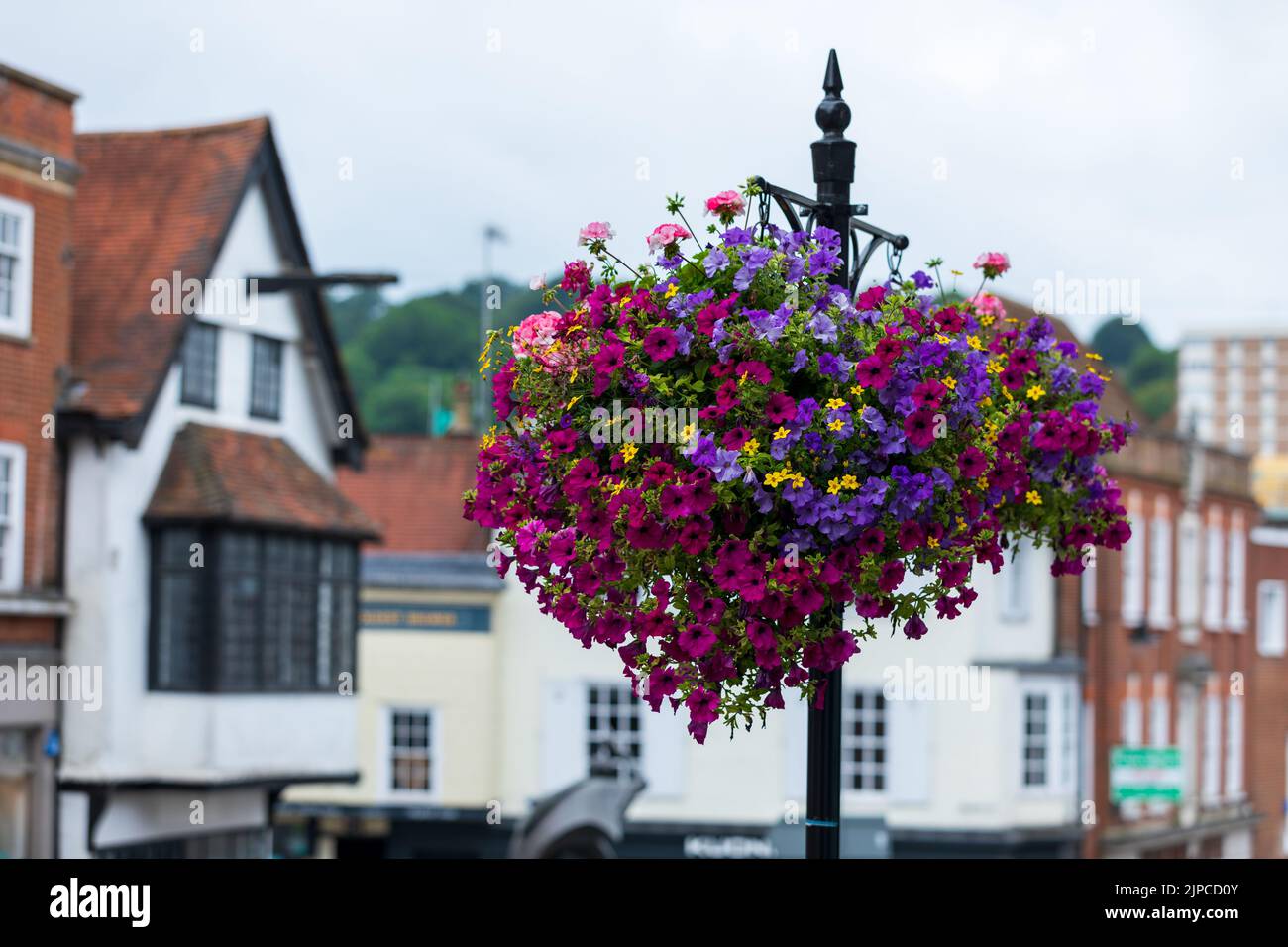 A bunch of colorful flowers on metal post in the street in Guildford ...