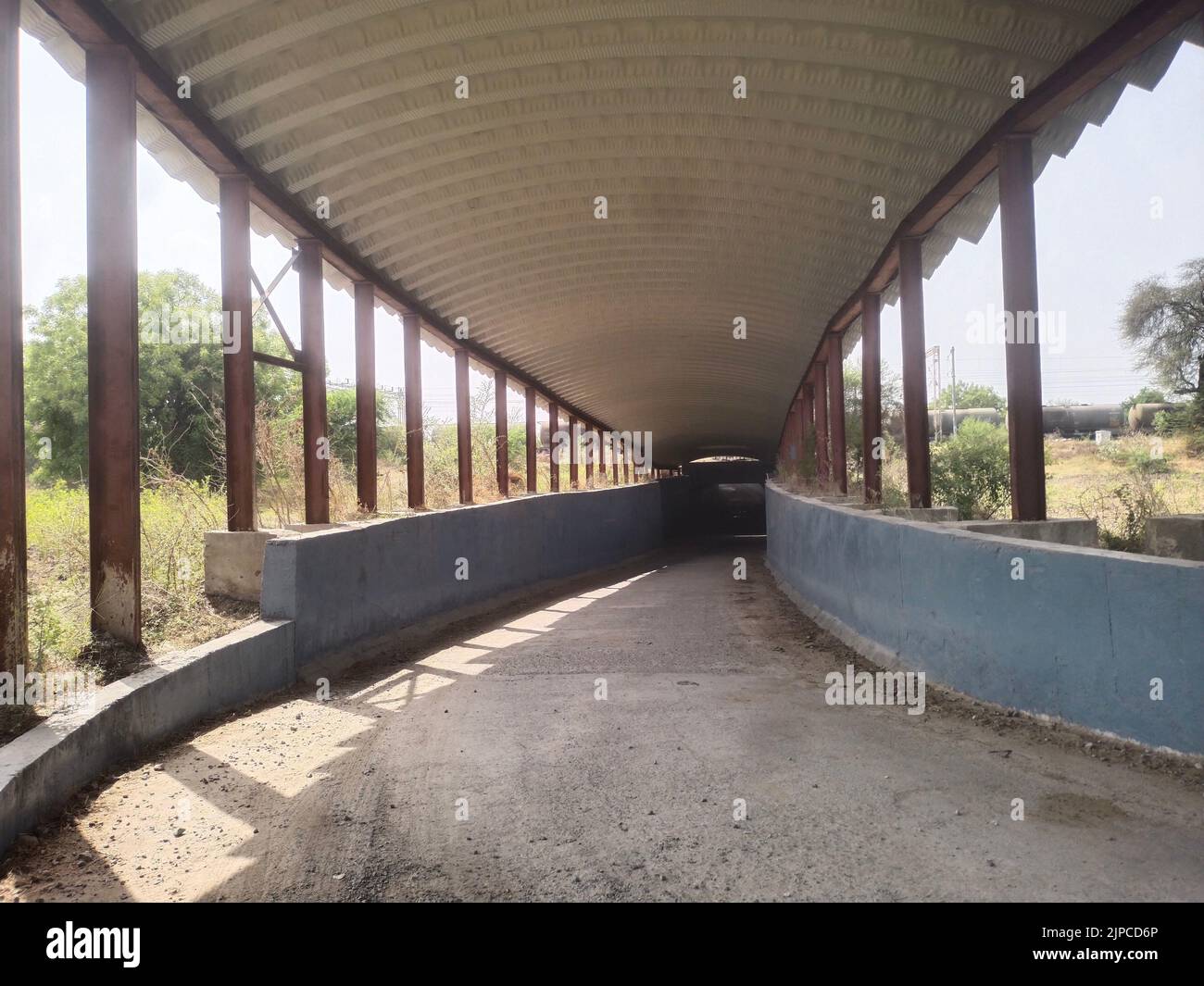 A view of a corridor with columns surrounded by green trees and dried ...