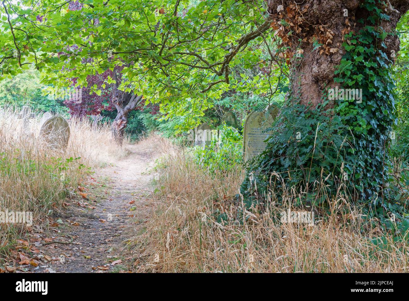Southampton common old cemetery hi-res stock photography and images - Alamy