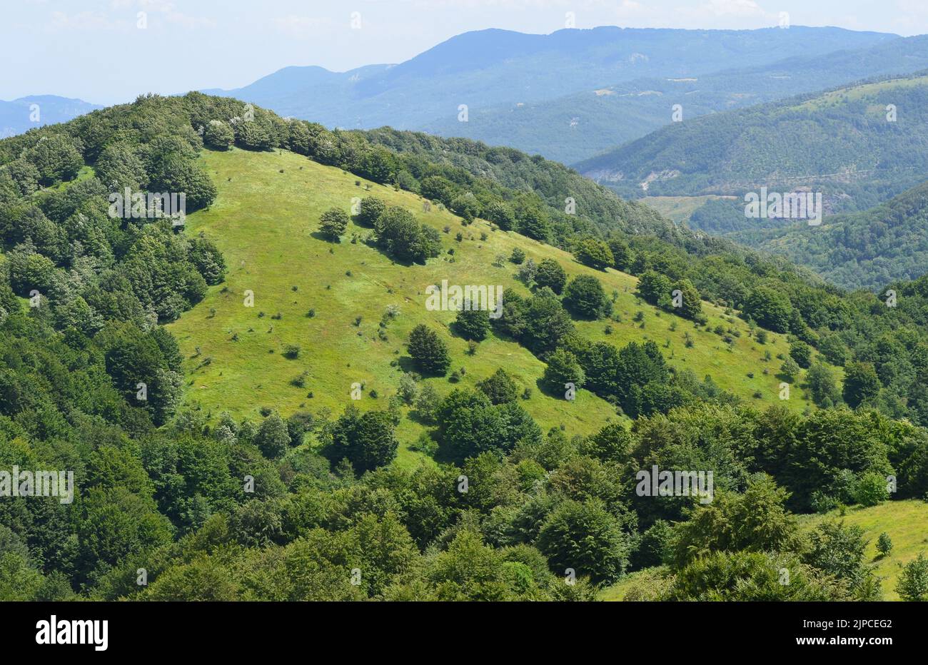 Parco Nazionale dell'Appennino Tosco-Emiliano, a lushly forested and ...