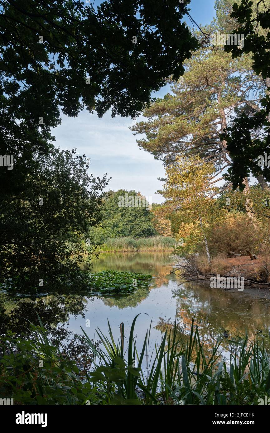 The Ornamental Lake on Southampton Common, Southampton UK Stock Photo ...