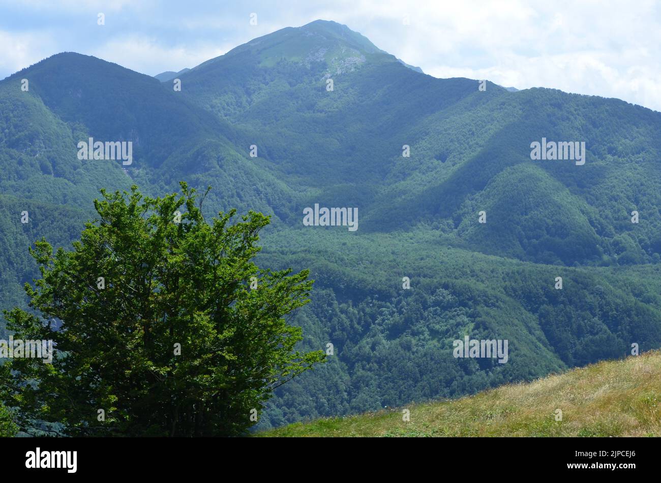 Parco Nazionale dell'Appennino Tosco-Emiliano, a lushly forested and ...