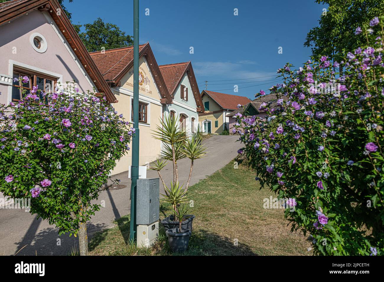 Medieval historic cellar village hi-res stock photography and images ...