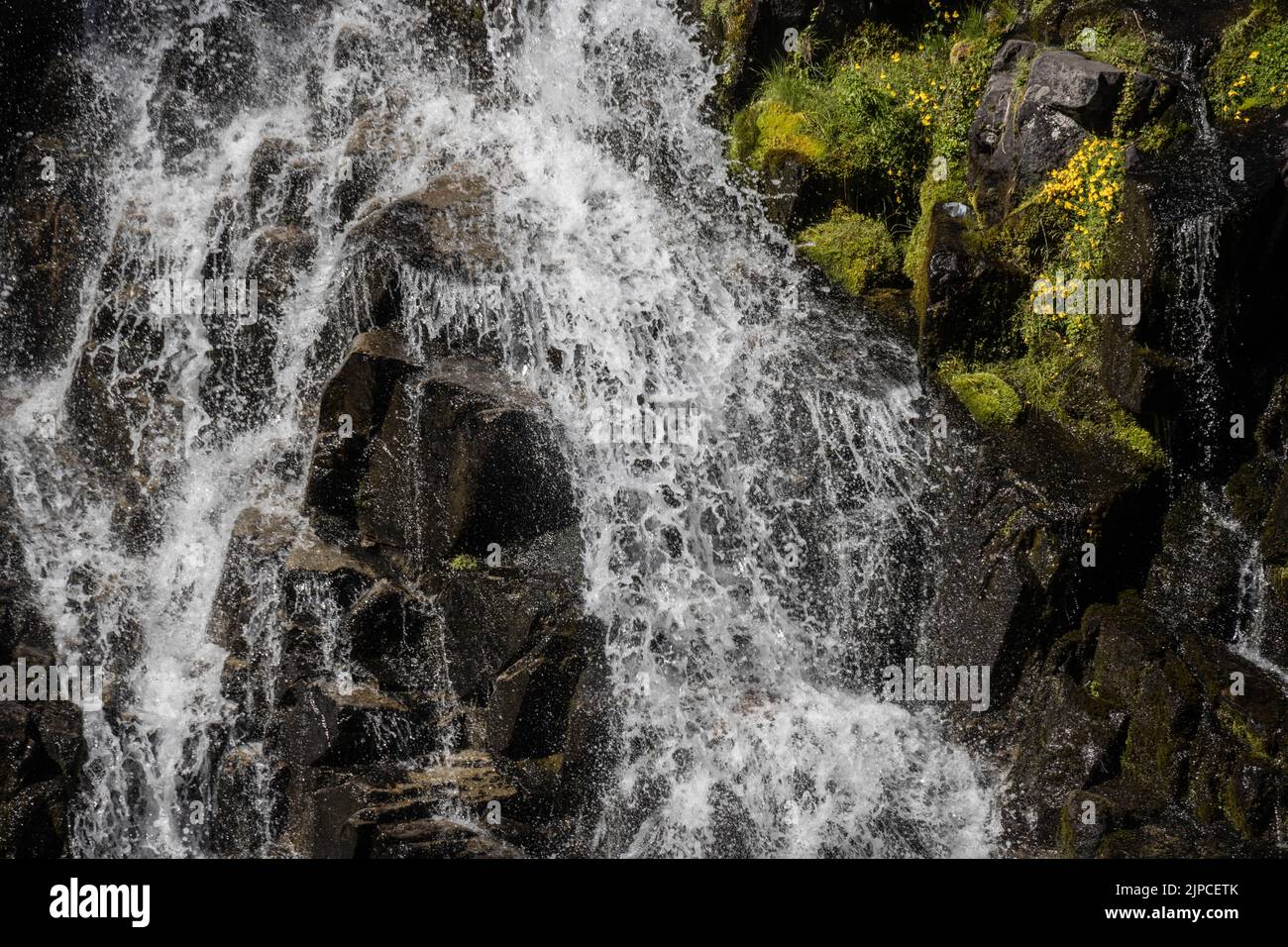 The view of waterfalls flowing through the rocks in the forest Stock ...
