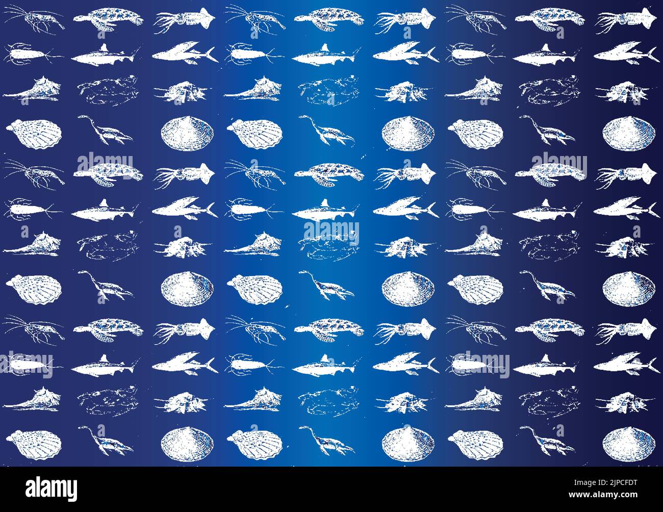 Set of nautical elements, sea creatures, fish, turquoise, sharp, corals ...