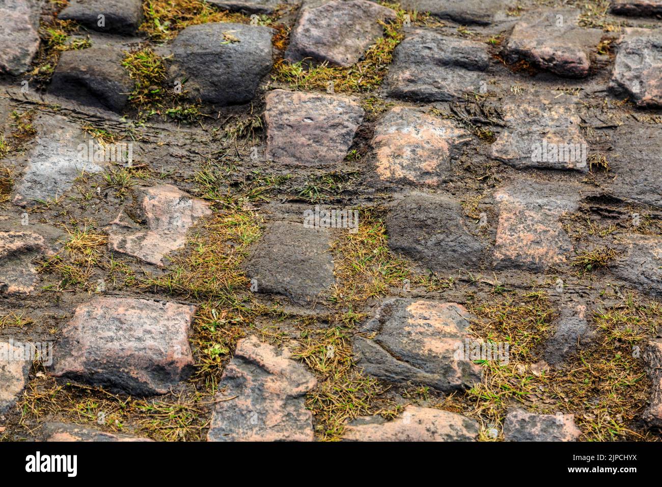 Forest of arenberg hi-res stock photography and images - Alamy