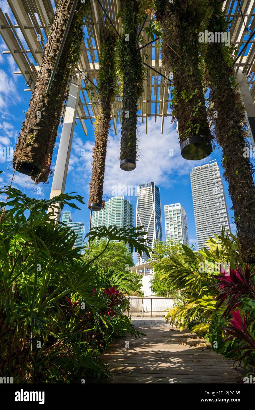 Perez art museum miami building hi-res stock photography and images - Alamy