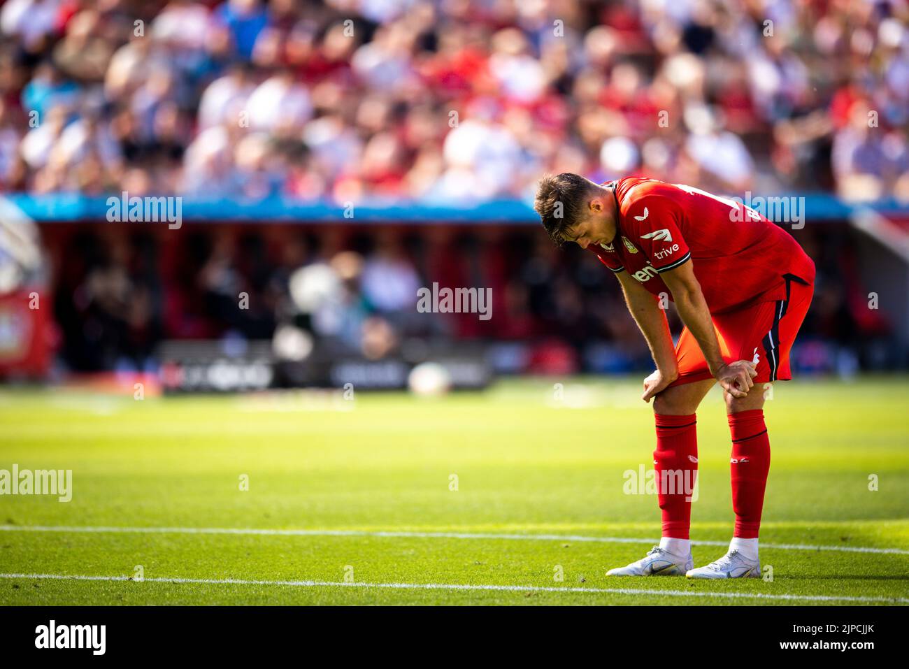 Patrik Schick (Leverkusen) Bayer Leverkusen - FC Augsburg 13.08.2022 ...