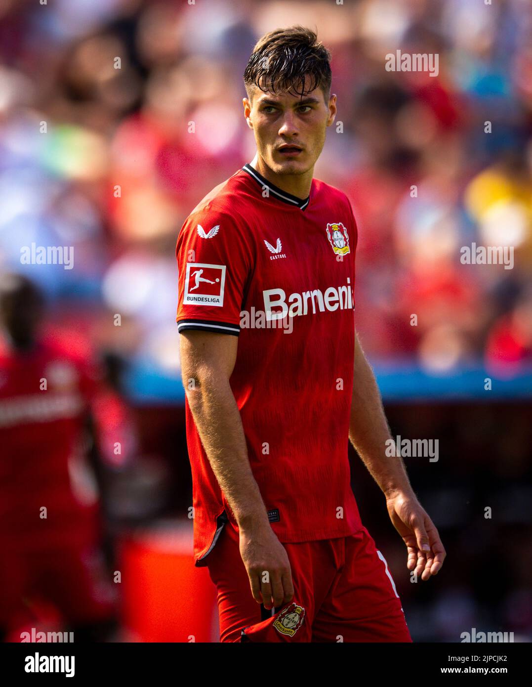 Patrik schick hi-res stock photography and images - Alamy