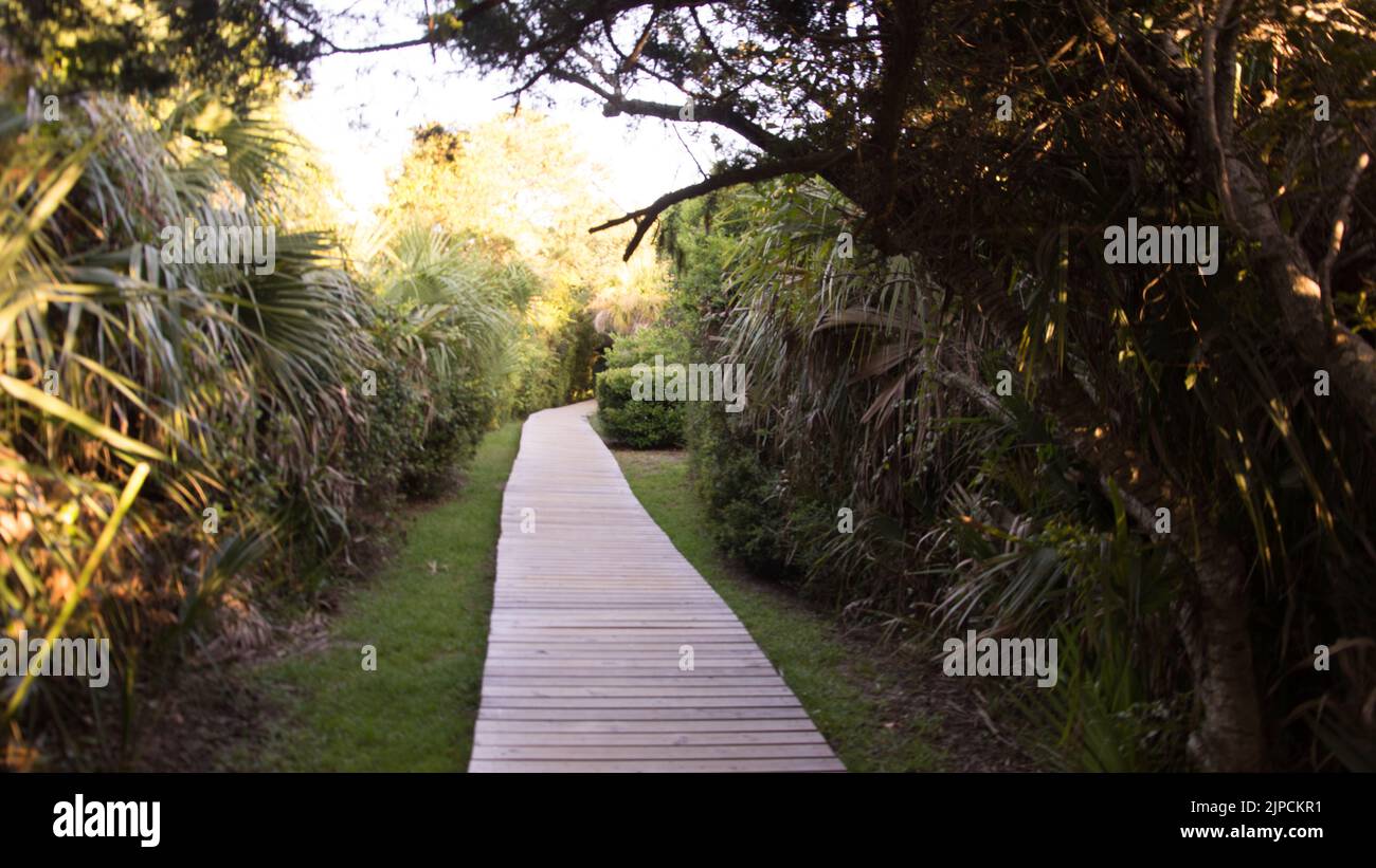 A wooden pathway through the botanical garden Stock Photo - Alamy