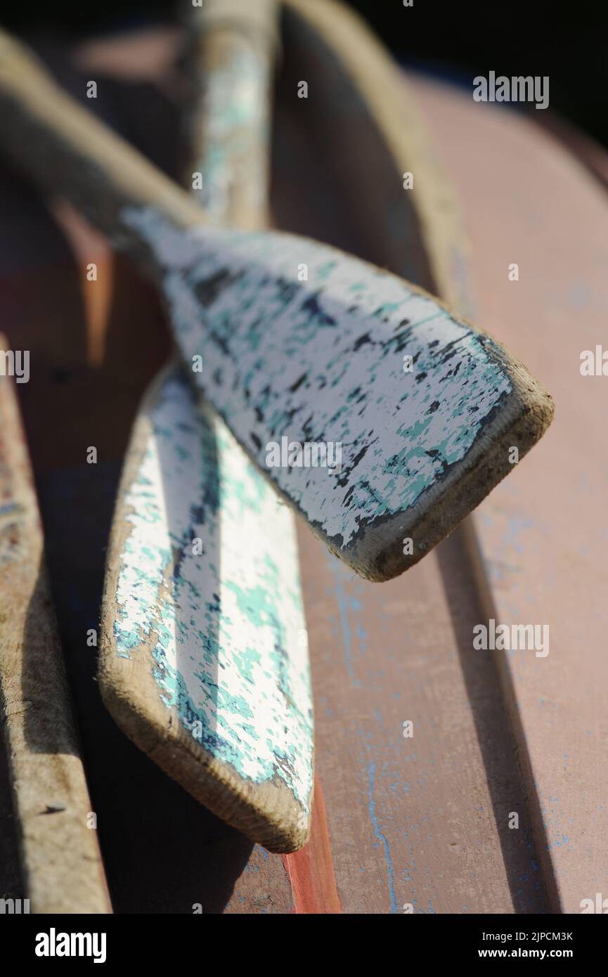 Oars weathered old wooden oars Stock Photo - Alamy