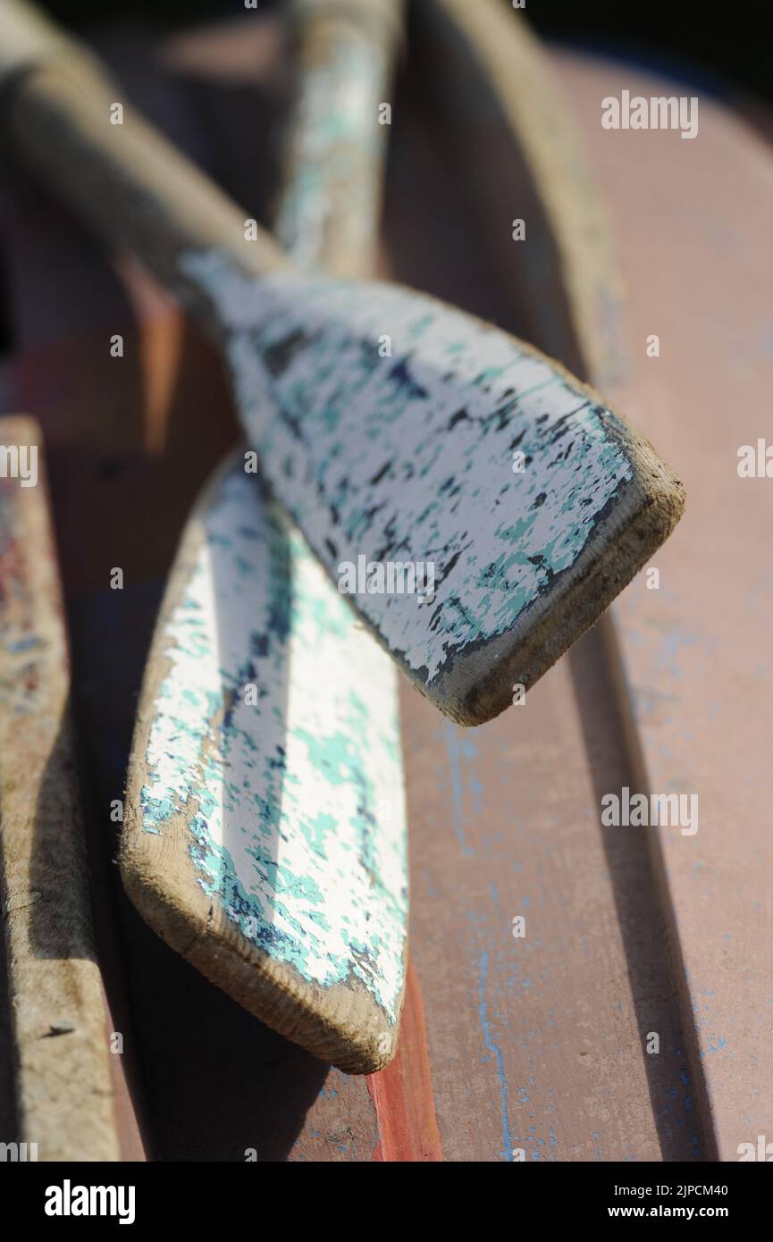 Oars weathered old wooden oars Stock Photo - Alamy