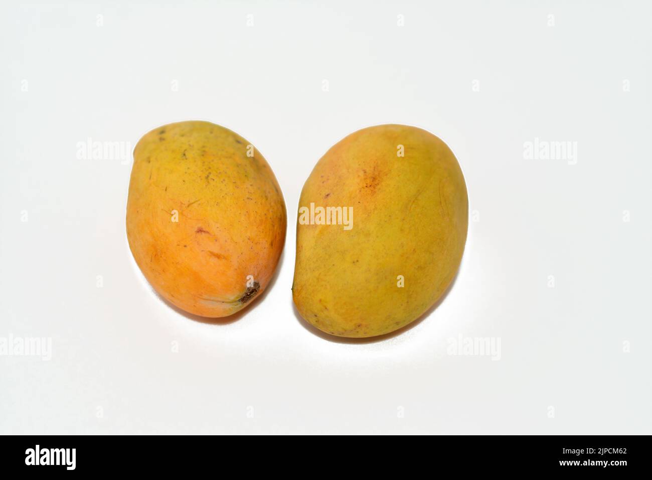 Egyptian fresh mango fruit with tropical delicacy, mangoes are ...