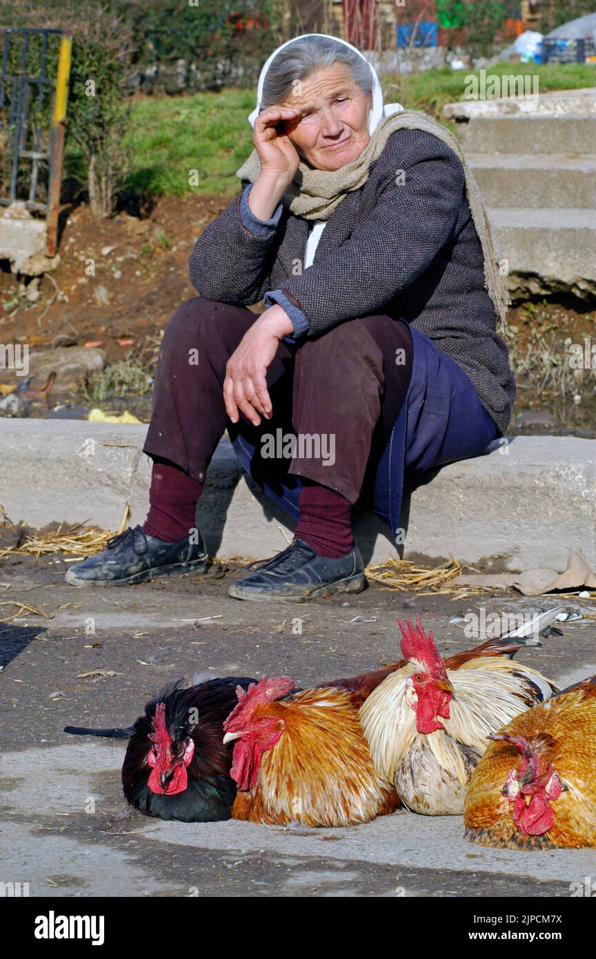 Old lady selling chickens in street market, central Tirana, Albania ...