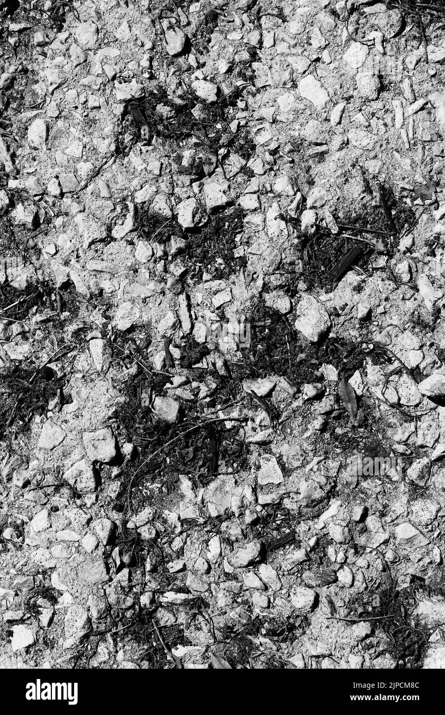 Pockmarked stone hi-res stock photography and images - Alamy