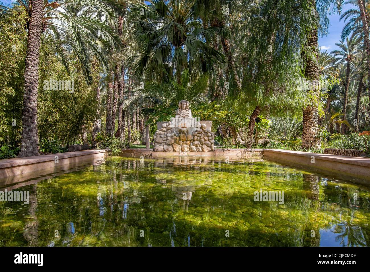 Lady of Elche in Elche's Huerto Del Cura botanical garden. Palm grove ...