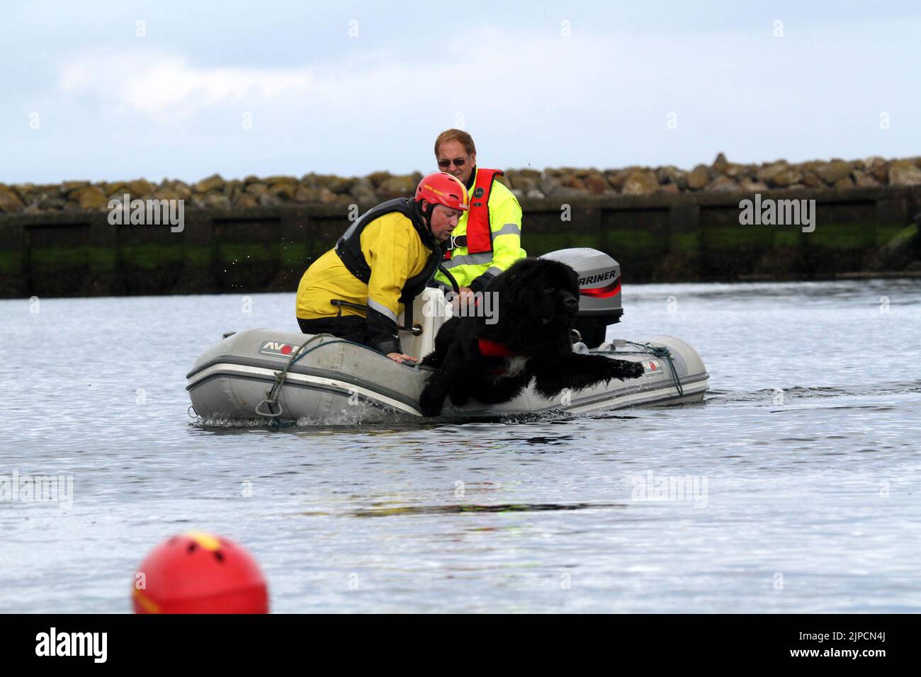 Noble fur scotland hi-res stock photography and images - Alamy