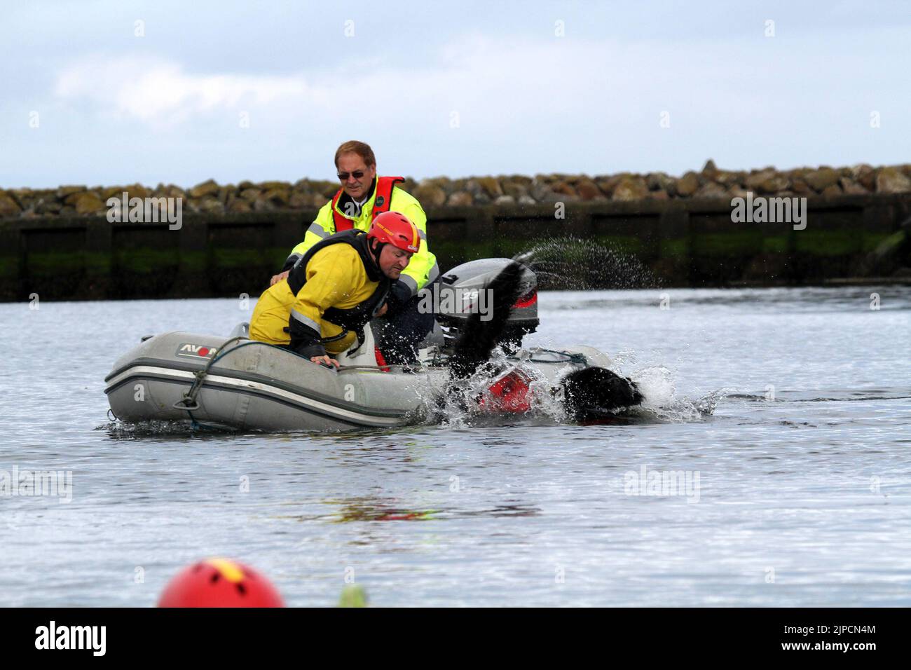 Girvan , Ayrshire, Scotland, UK .Newfoundland Dog Finn shows his life ...