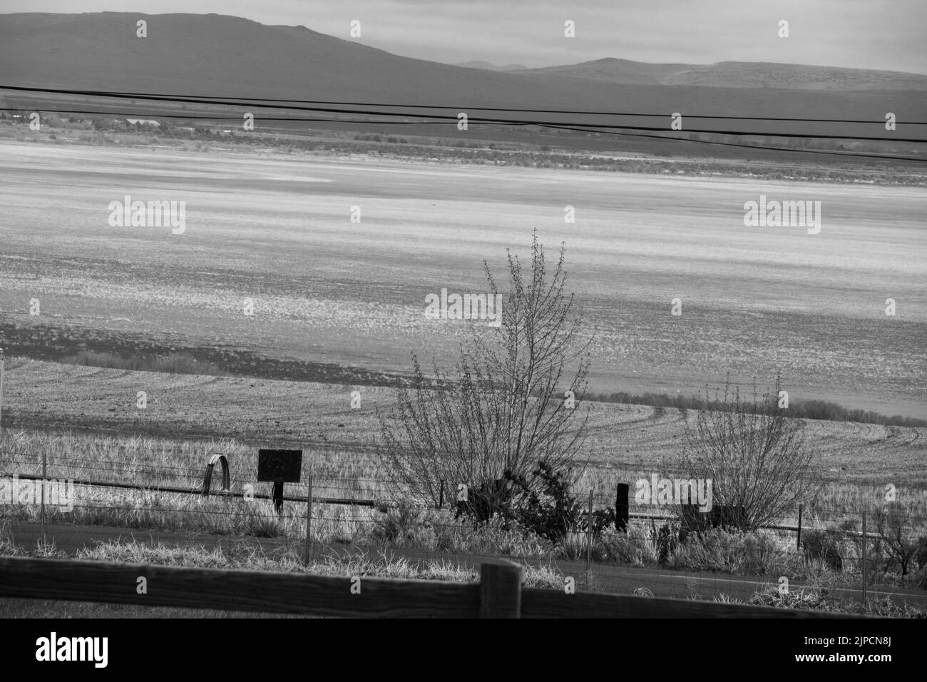 A grayscale of a field of dried grass and shrubs against mountains ...