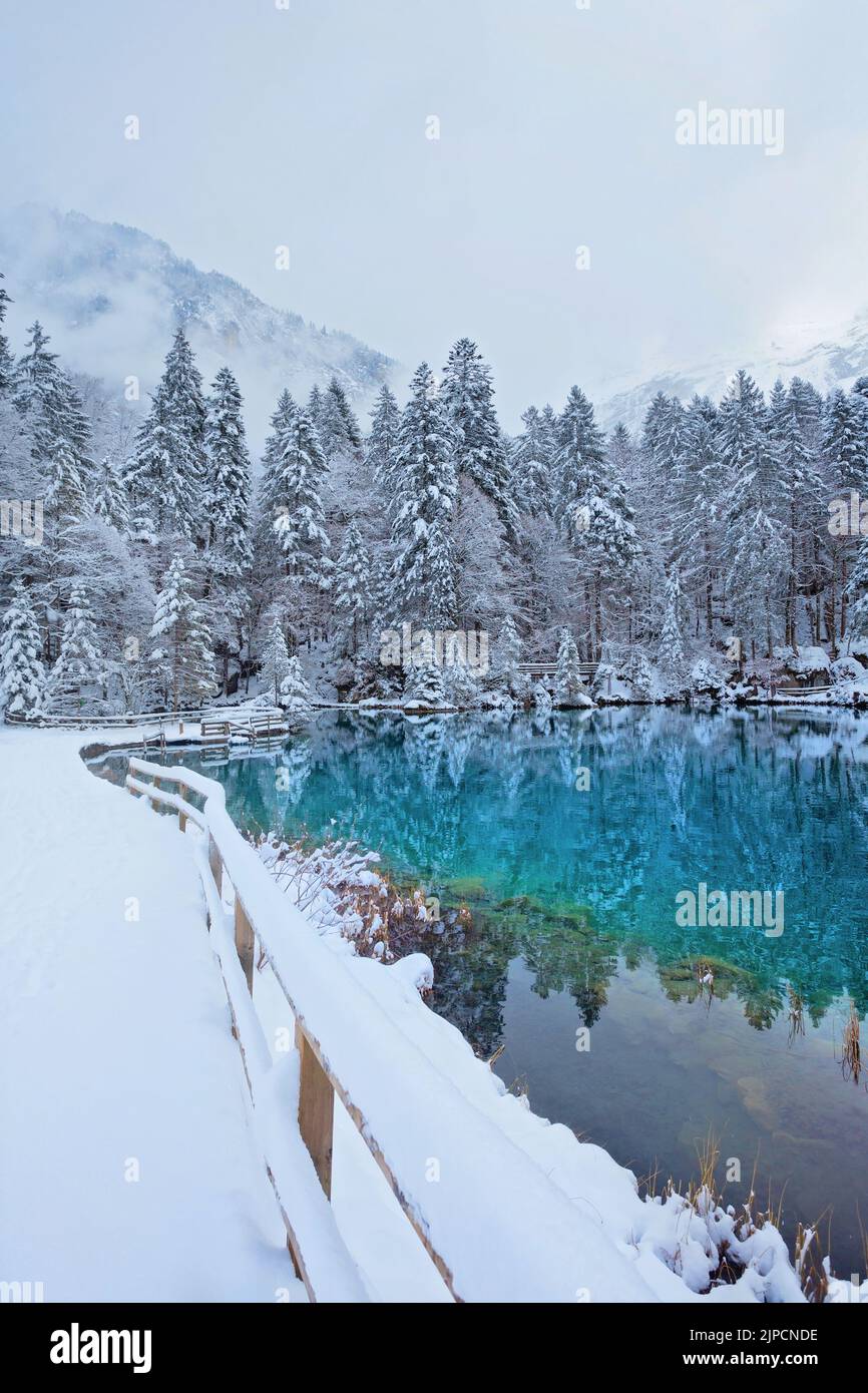 Lake Blausee in Bernes Highlands, Alps, Switzerland Stock Photo - Alamy
