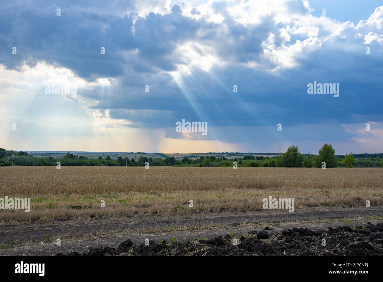 The sun 's rays illuminate partially mown wheat fields through the clouds Stock Photo - Alamy