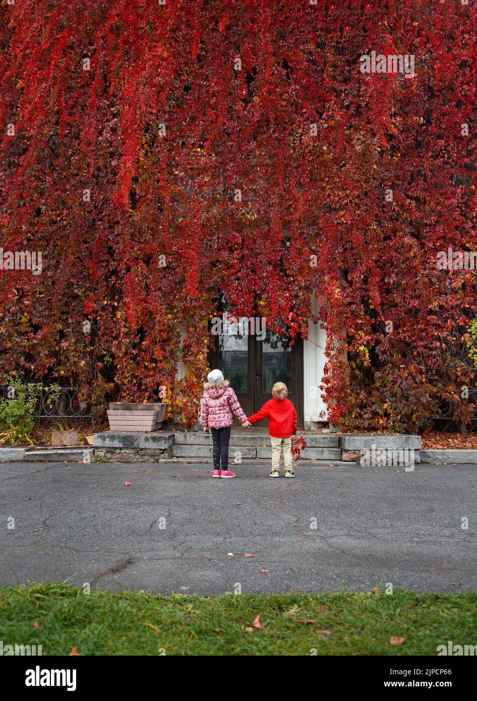 unrecognizable boy and girl standing with their backs looking at a high ...