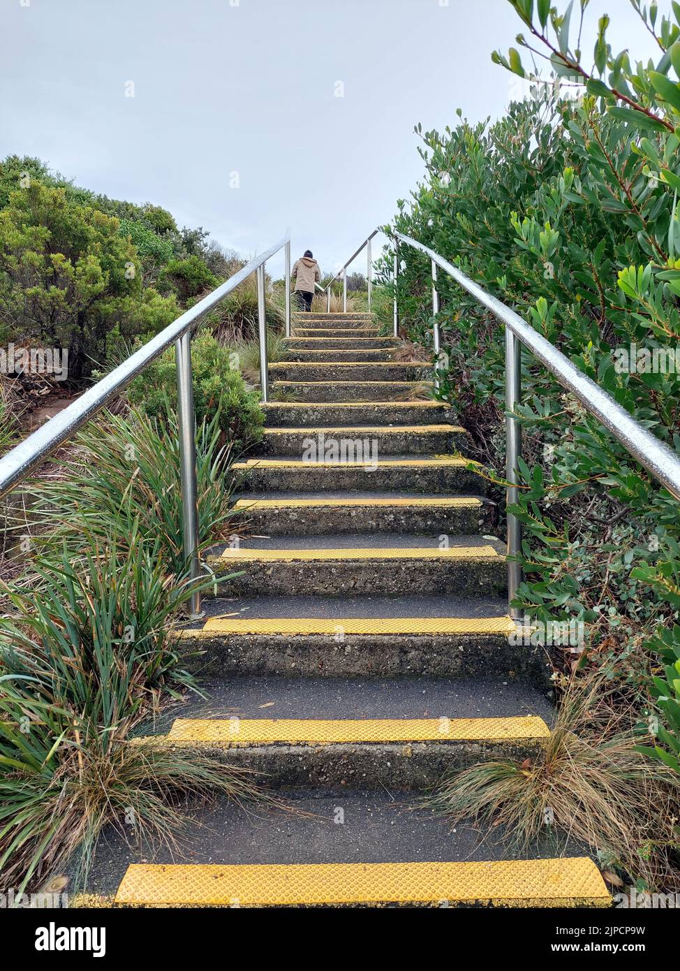 A vertical shot of stairs through shrubs Stock Photo - Alamy