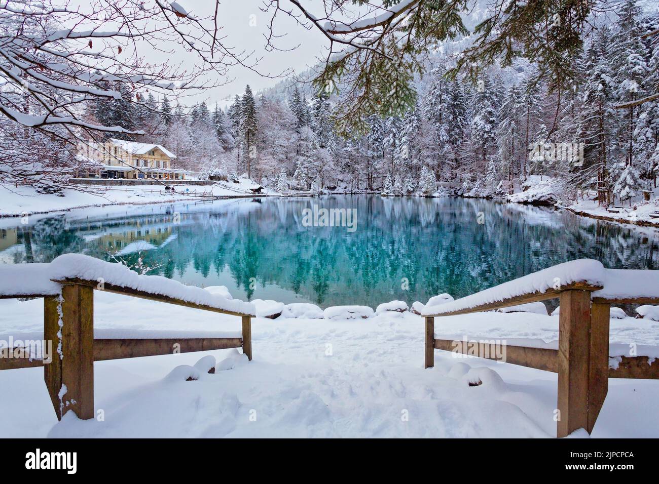 Lake Blausee in Bernese Highlands during winter, Switzerland Stock ...