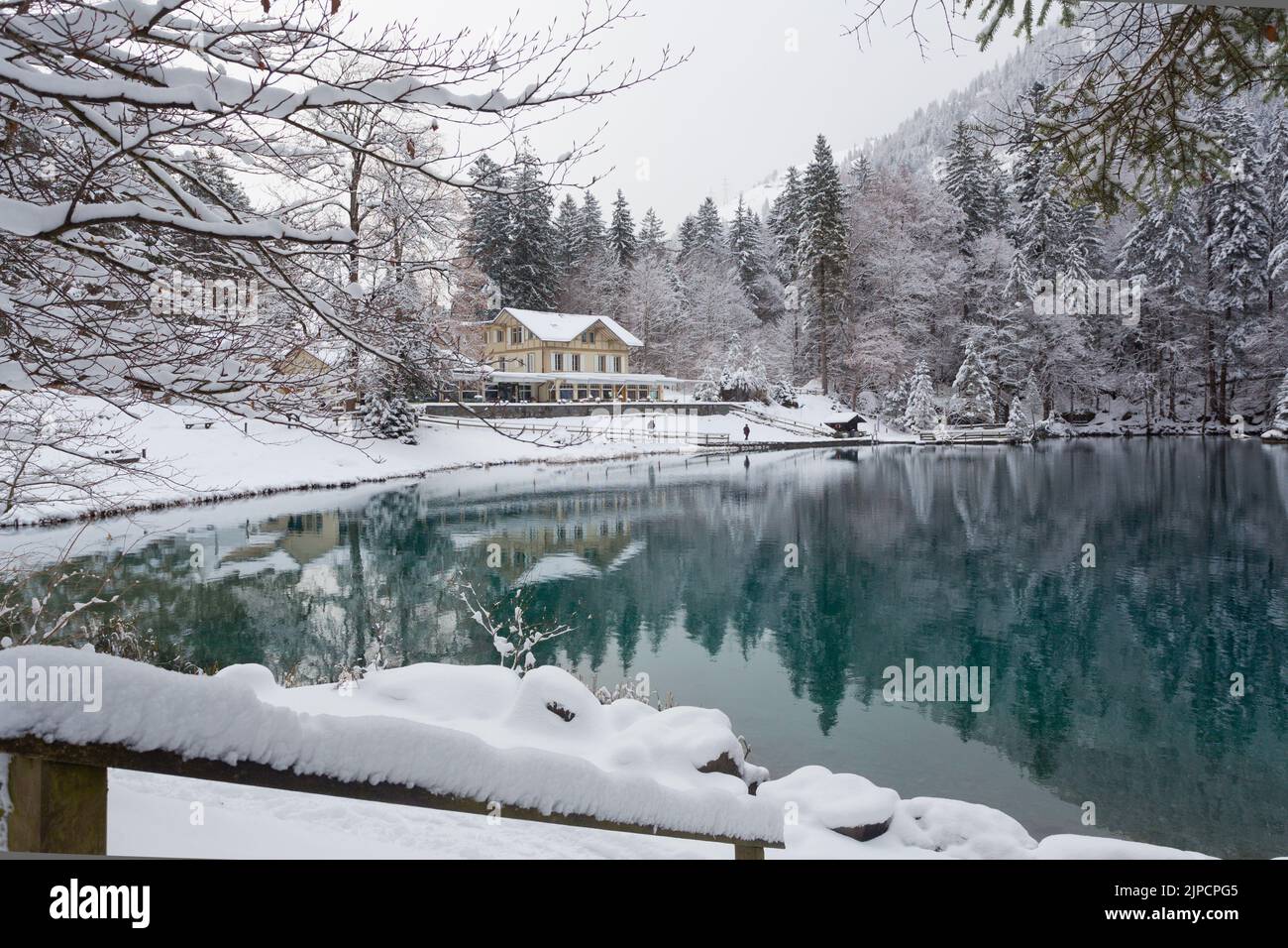 Lake Blausee in Bernese Highlands during winter, Switzerland Stock ...