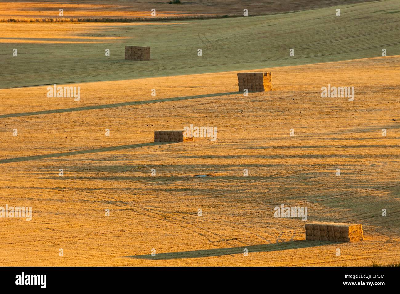 Salisbury Plain in the summer, Wiltshire, England. A view from Old ...